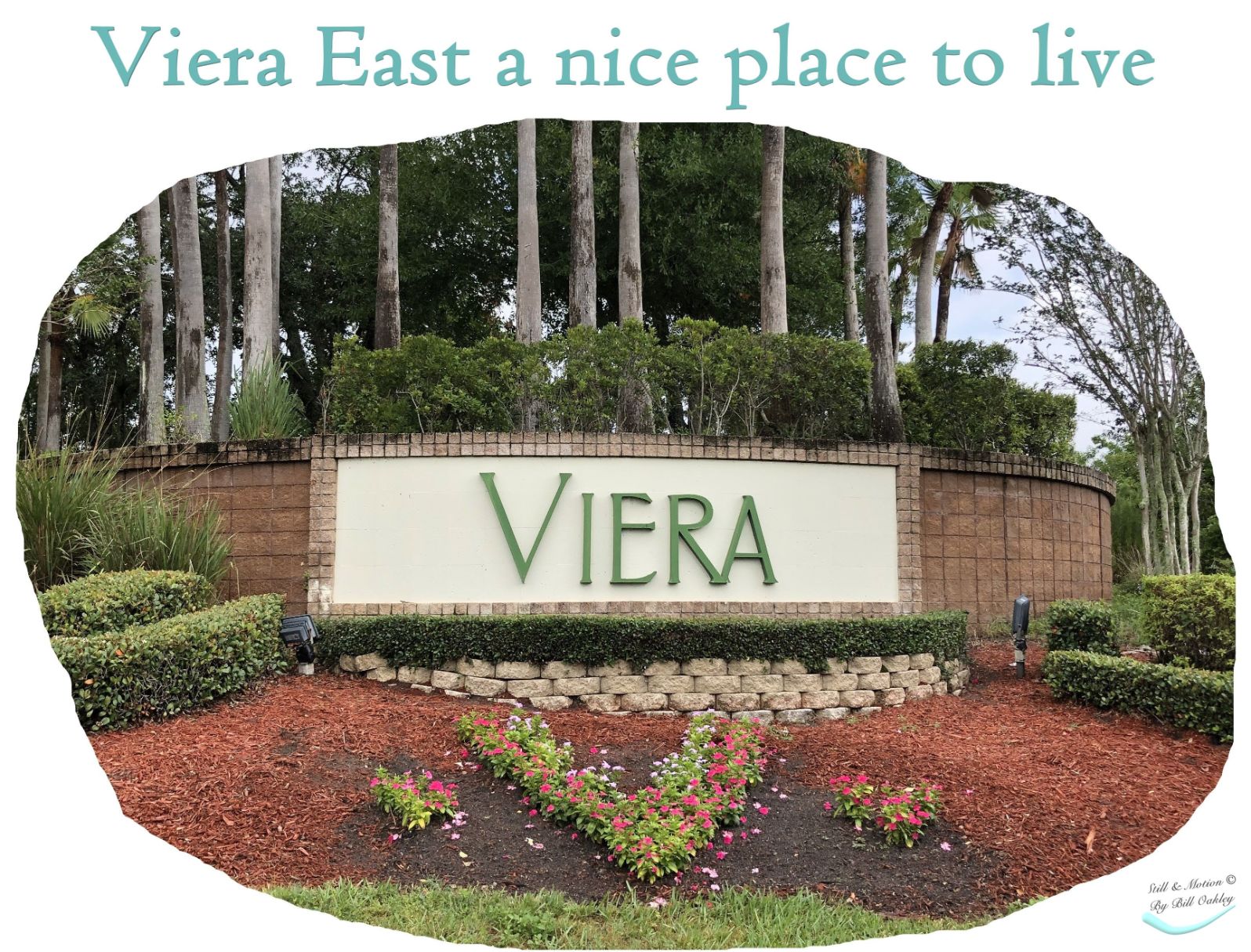 New things at Viera East – Viera East